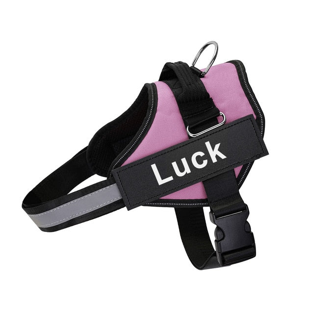 Custom-Fit Dog Harness with Name Tag – The Harness Buddy