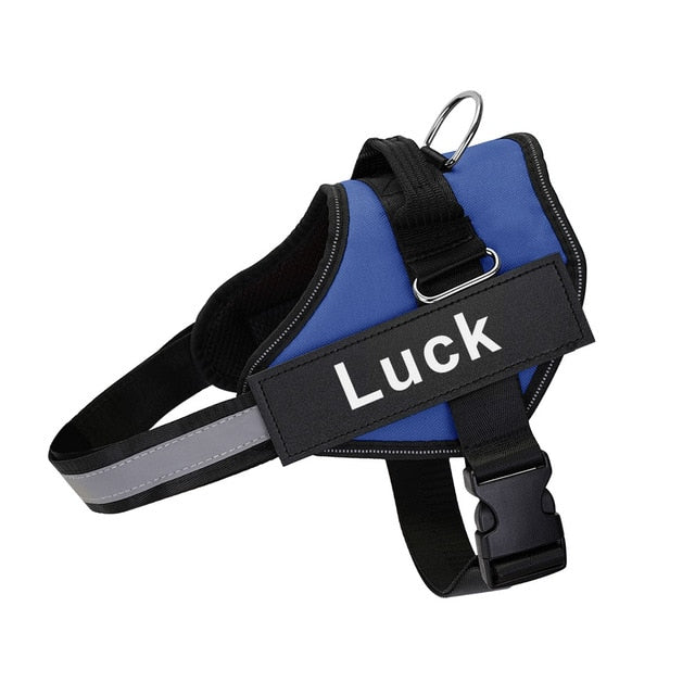 Custom-Fit Dog Harness with Name Tag – The Harness Buddy