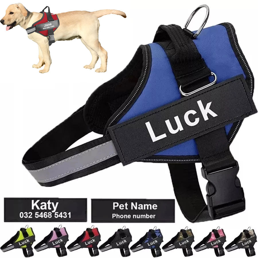 Custom-Fit Dog Harness with Name Tag – The Harness Buddy